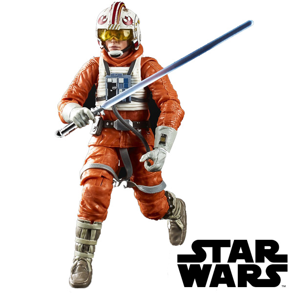 ID9 - SW Star Wars Black Series Esb Luke Snowspeeder Pilot 15cm